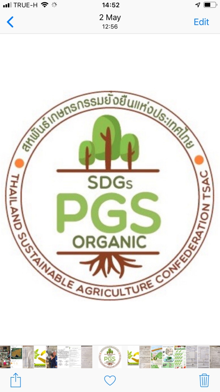 ทีมบริหารสมาพันธ์ SDGsPGS ภาคเหนือตอนล่าง