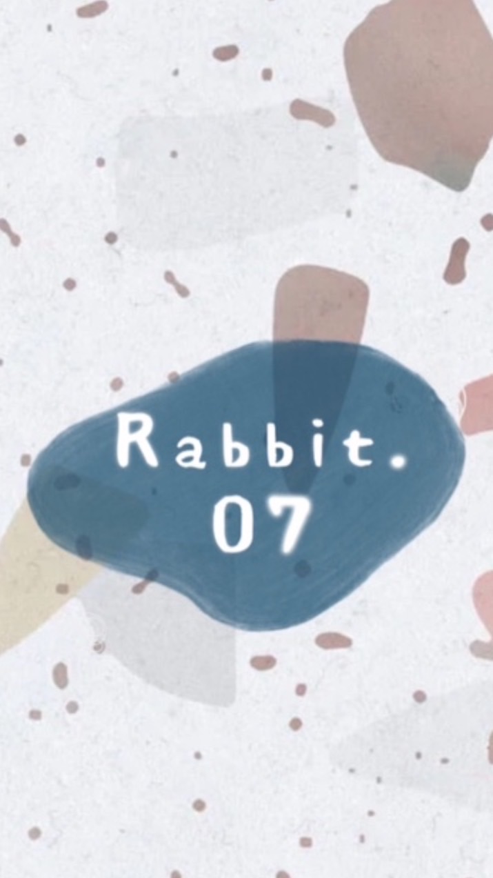 Rabbit.07