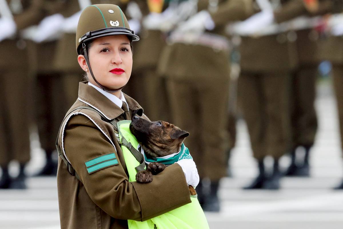 正妹胸前是萌犬 這一國閱兵大典你想閱的不是兵 | 壹蘋新聞網 | LINE TODAY