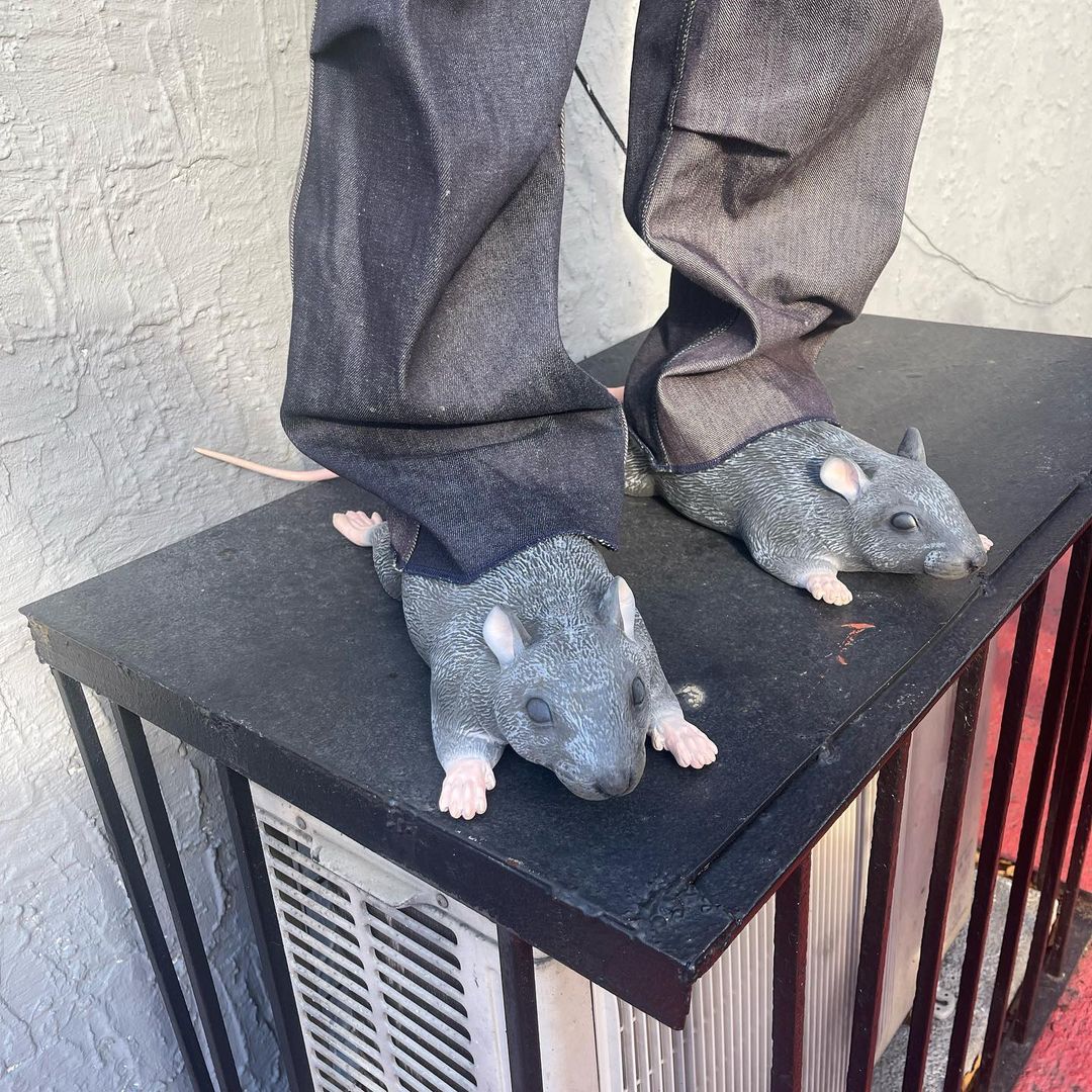 奇形怪狀鞋子大集合！毛毛拖鞋、老鼠拖鞋到底誰會穿？！ | LINE購物