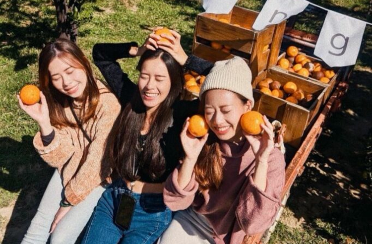 苗栗觀光工廠｜10個大人小孩都滿載而歸的假日出遊親子景點 - LINE旅遊