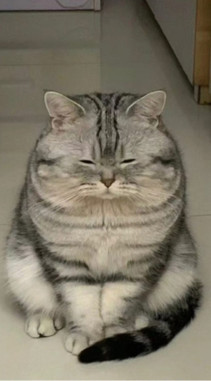 S20 麥芬 🍻Jauntiness