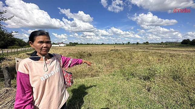 ยายเศร้า ถูกอดีตครู บุกเข้าไปเกี่ยวข้าว 50 ไร่ ปูดปมที่ดิน ไม่ชอบมาพากล | Khaosod | LINE TODAY