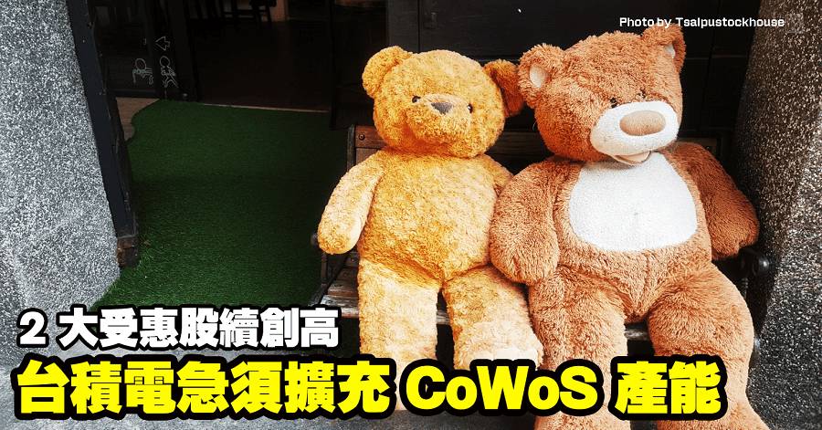 台積電急須擴充 CoWoS 產能，2 大受惠股續創高 | CMoney | LINE TODAY