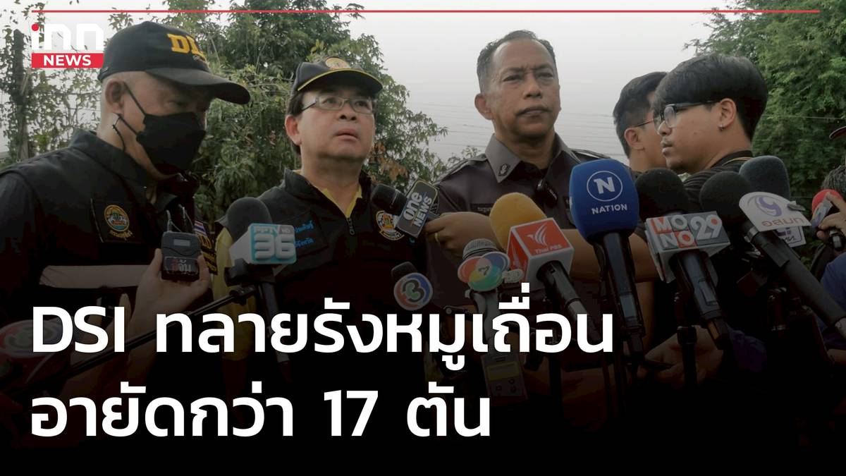 DSI ทลายรังหมูเถื่อน อายัดกว่า 17 ตัน | INN News | LINE TODAY