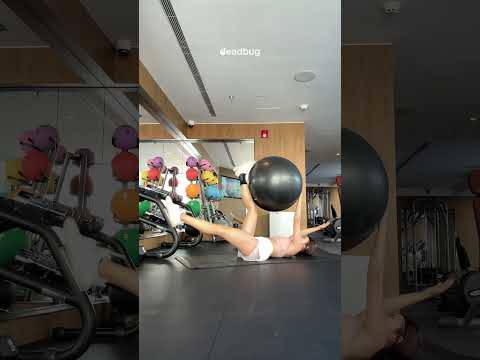 best beginner full body and abs exercises at the gym that will ...