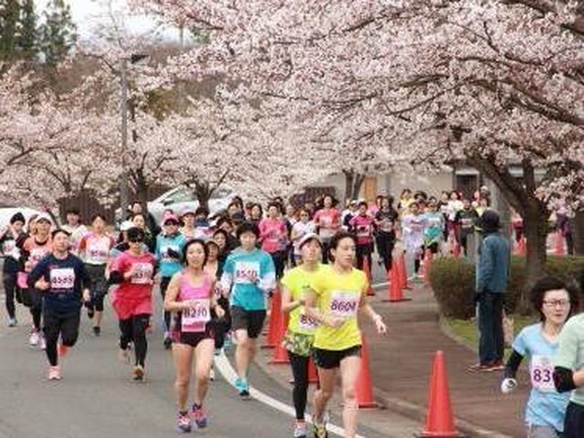 第8回 イーハトーブ花巻ハーフマラソン 受付中！（RUNNET）