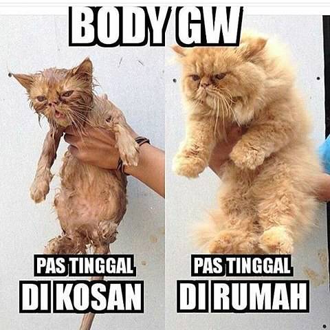 5 Meme Ini Gambarin Kamu Sebagai Maba! Kocak Abiz:Dagelan | JalanPintas