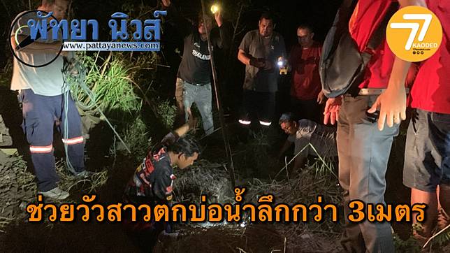 ชาวบ้านลุ้นปฏิบัติการช่วยวัวสาวตกบ่อน้ำลึกกว่า 3เมตร | 77kaoded | LINE TODAY