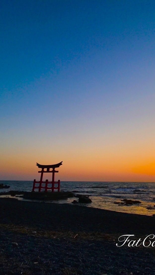 20240515-肥貓四腿票-外站票線上分享