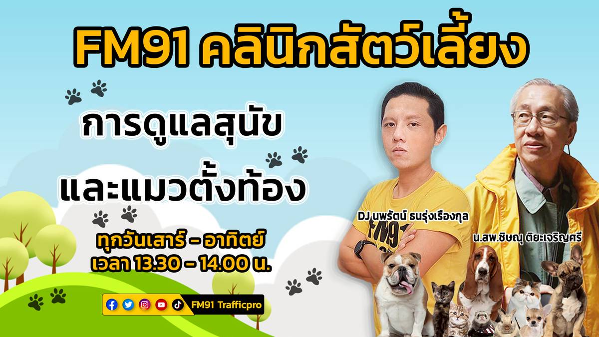 การดูแลสุนัขและแมวตั้งท้อง : FM91 คลินิกสัตว์เลี้ยง : 16 กรกฎาคม 2565 | สวพ.FM91 | LINE TODAY