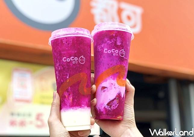 飲料控的IG準備好了！CoCo都可「紅果小姐」火龍果手搖杯強勢回歸，期間限定「都可訂」線上點單折5元讓飲料控開喝。 | WalkerLand 窩客島 | LINE TODAY