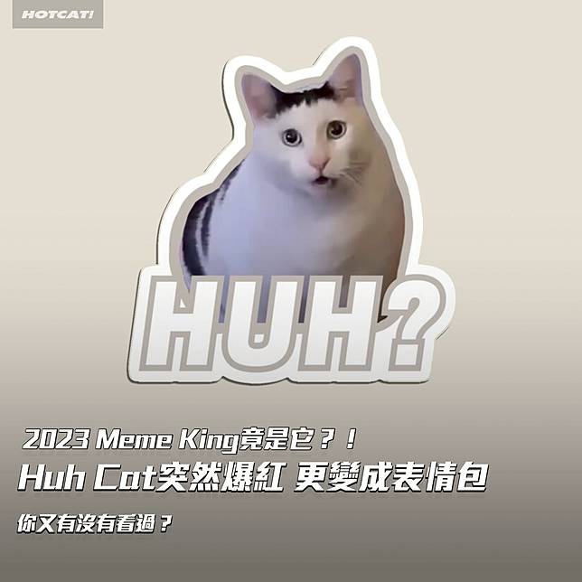 2023 Meme King竟是它？！Huh Cat突然爆紅 更變成表情包 | HotCat! 熱貓 | LINE TODAY