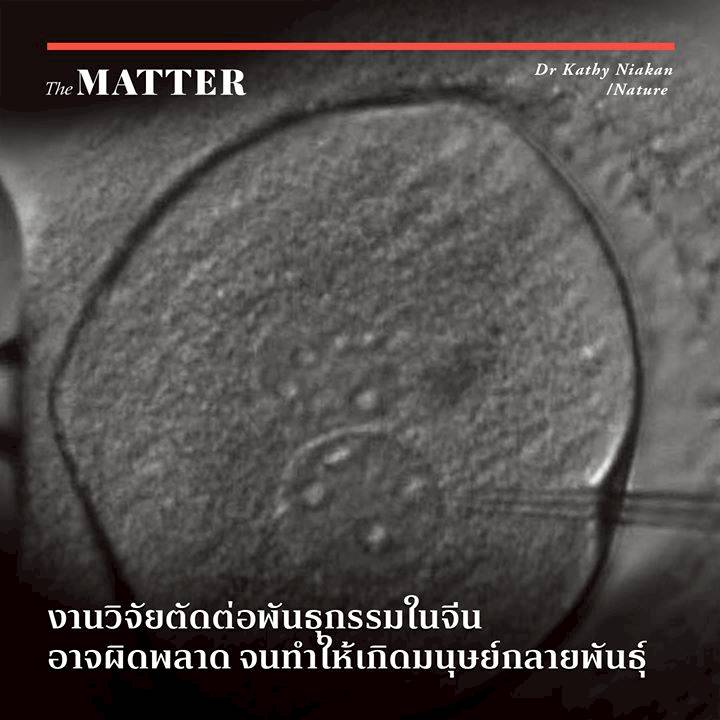 งานวิจัยตัดต่อพันธุกรรมในจีน อาจผิดพลาด จนทำให้เกิดมนุษย์กลายพันธุ์ ...