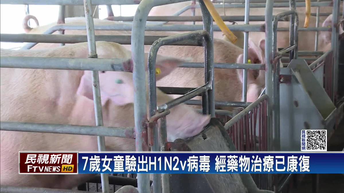 全台第二例新型豬流感 中部7歲女童驗出H1N2v病毒 | 民視新聞影音 | LINE TODAY