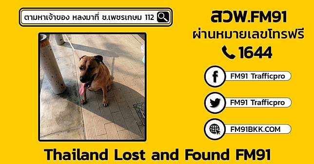 น้องพลัดหลง! เดินวนไป วนมาอยู่หน้าเซเว่น ซอยเพชรเกษม 112 | สวพ.FM91 | LINE TODAY