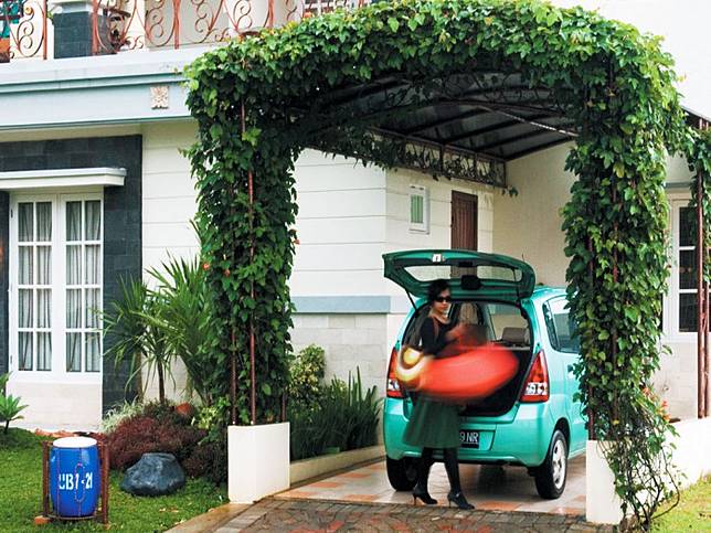 ️ Ini Jenis Bibit Tanaman Rambat yang Cocok Untuk Kanopi Rumah Anda