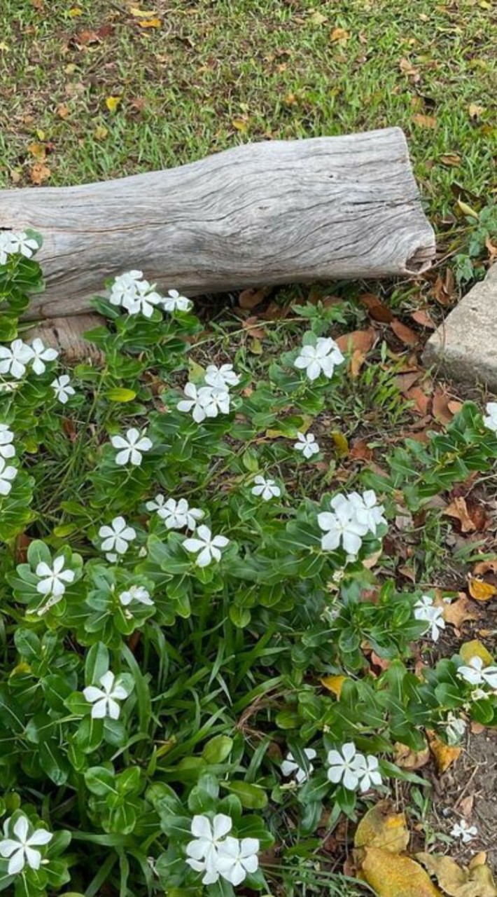 🧽 ͙𓈒ׅ 𝓖𝓻𝓸𝓾𝓹 ดิสซอฟหวาน 𝓫𝔂.𝓞𝓵𝓲𝓪𝓷𝓰 ☆ ׂ.°