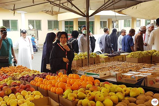 Akeru Feed | พาเที่ยว " Taif (ทาอีฟ)" เมืองหนาวของประเทศซาอุดิอาราเบีย มีดียังไง!!"