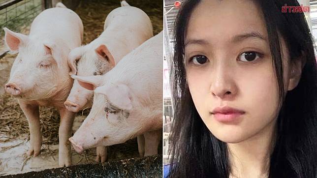 เปิดชีวิตสาวสวยดีกรีแพทย์ ผันตัวเลี้ยงหมู เผยรายได้มั่นคง-ดีเกินคาด | Khaosod | LINE TODAY