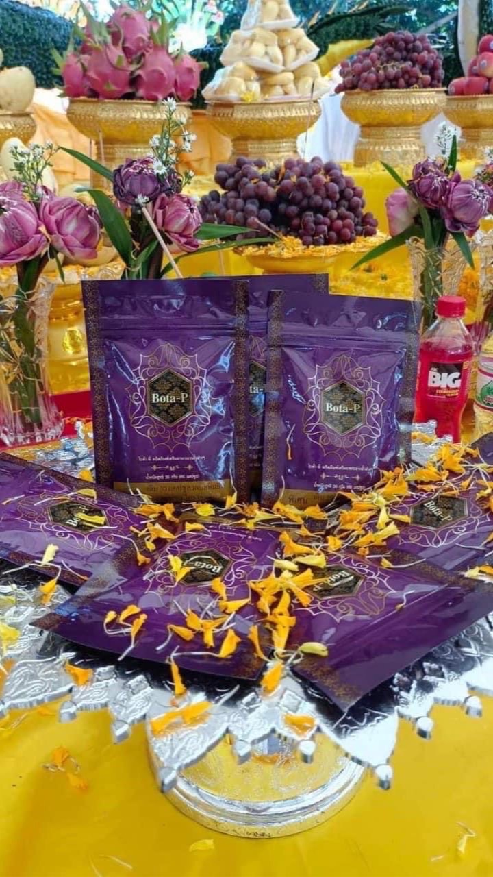 BotaP บ้านสร้างความสุขความสำเร็จ