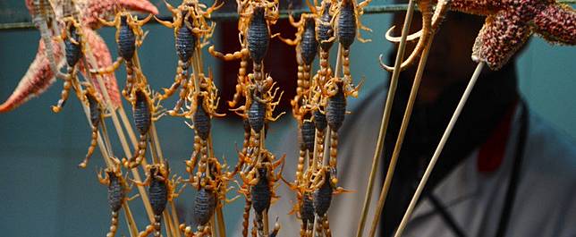 Lifestyle - Bikin Ngeri! Ini 9 Makanan Anti Mainstream yang Bakal Kamu ...