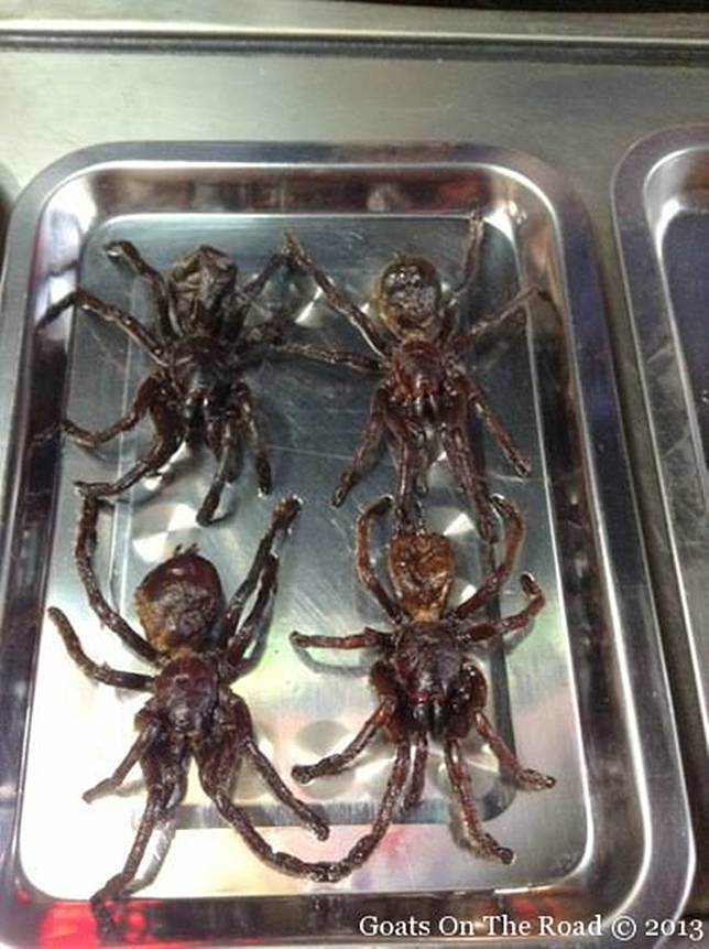 Lifestyle - Bikin Ngeri! Ini 9 Makanan Anti Mainstream yang Bakal Kamu ...