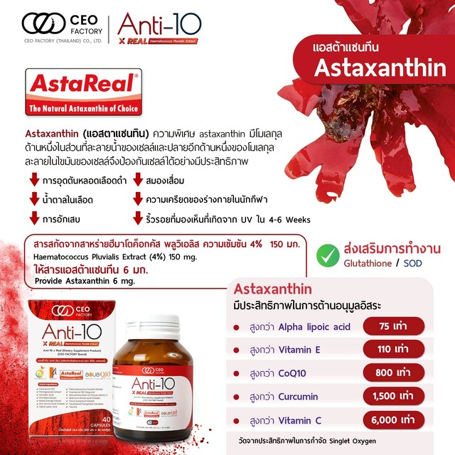 แอนตี้-เท็น เอกซ์ เรียว Anti-10 x Real Super Antioxidant 10 กว่าชนิด ...