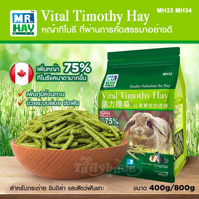 MR.HAY Vital Timothy Hay หญ้าทิโมธีอัดแท่ง ขนมคบเขี้ยวสำหรับ กระต่าย ...