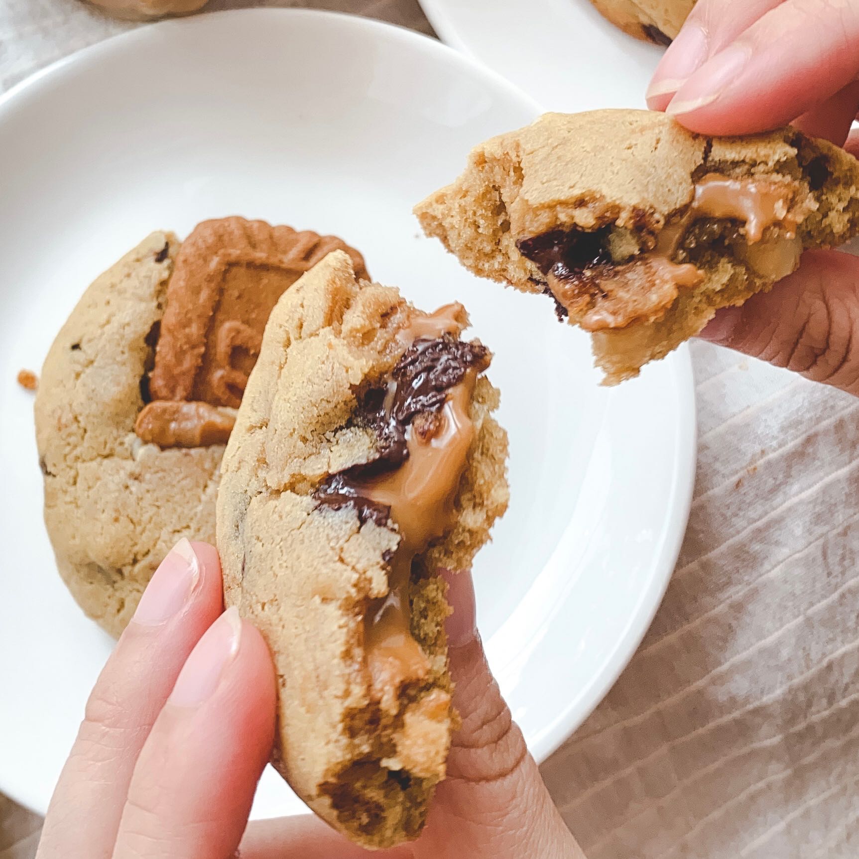 Recommend Soft Cookie Biscoff | LINE SHOPPING