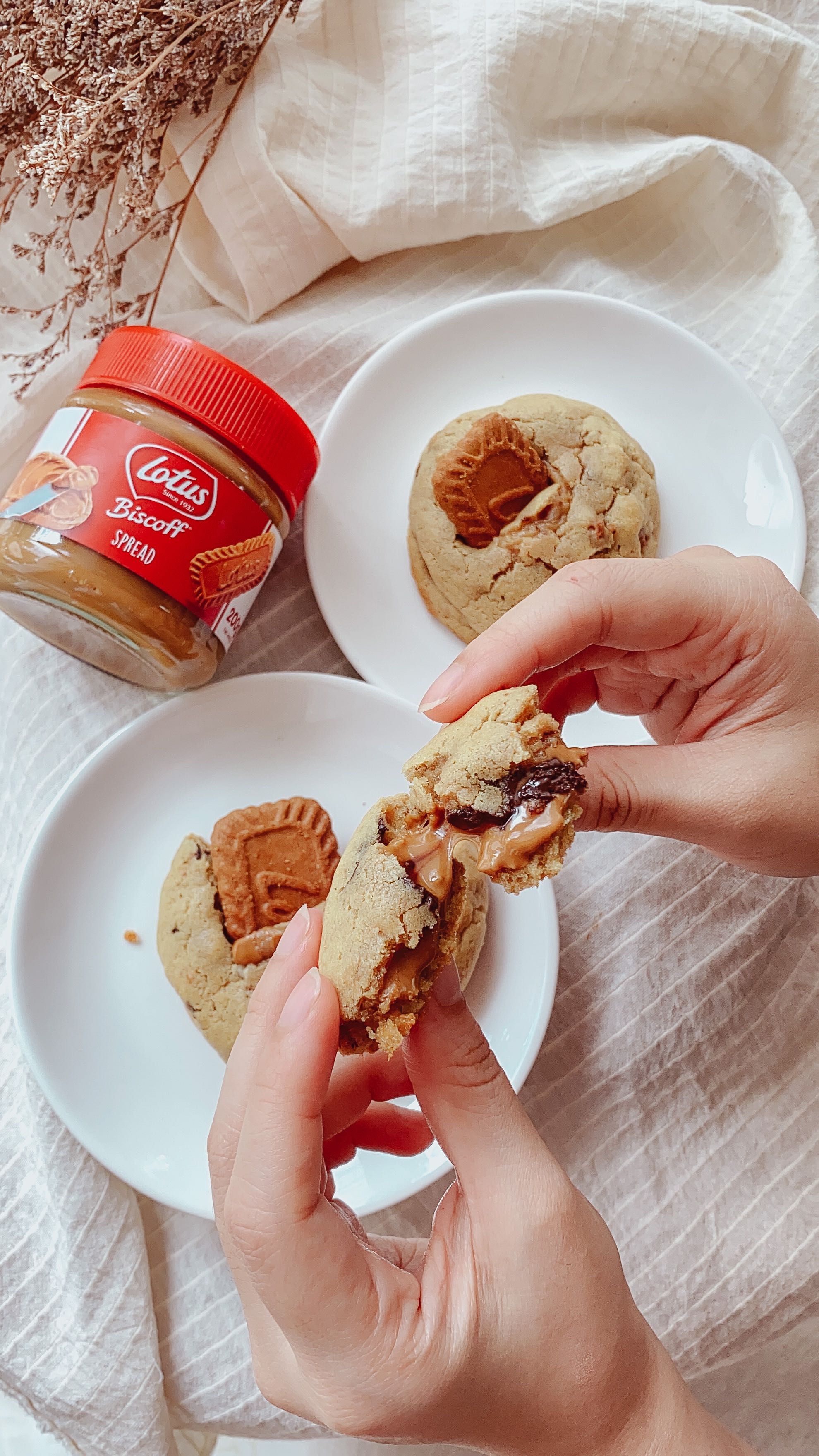 Recommend Soft Cookie Biscoff | LINE SHOPPING