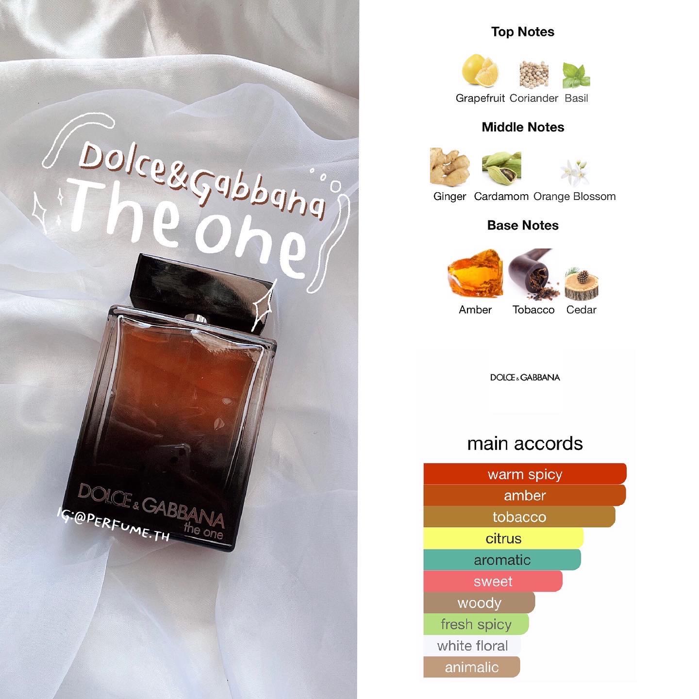 116) Dolce & Gabbana The One for men EDP | LINE SHOPPING