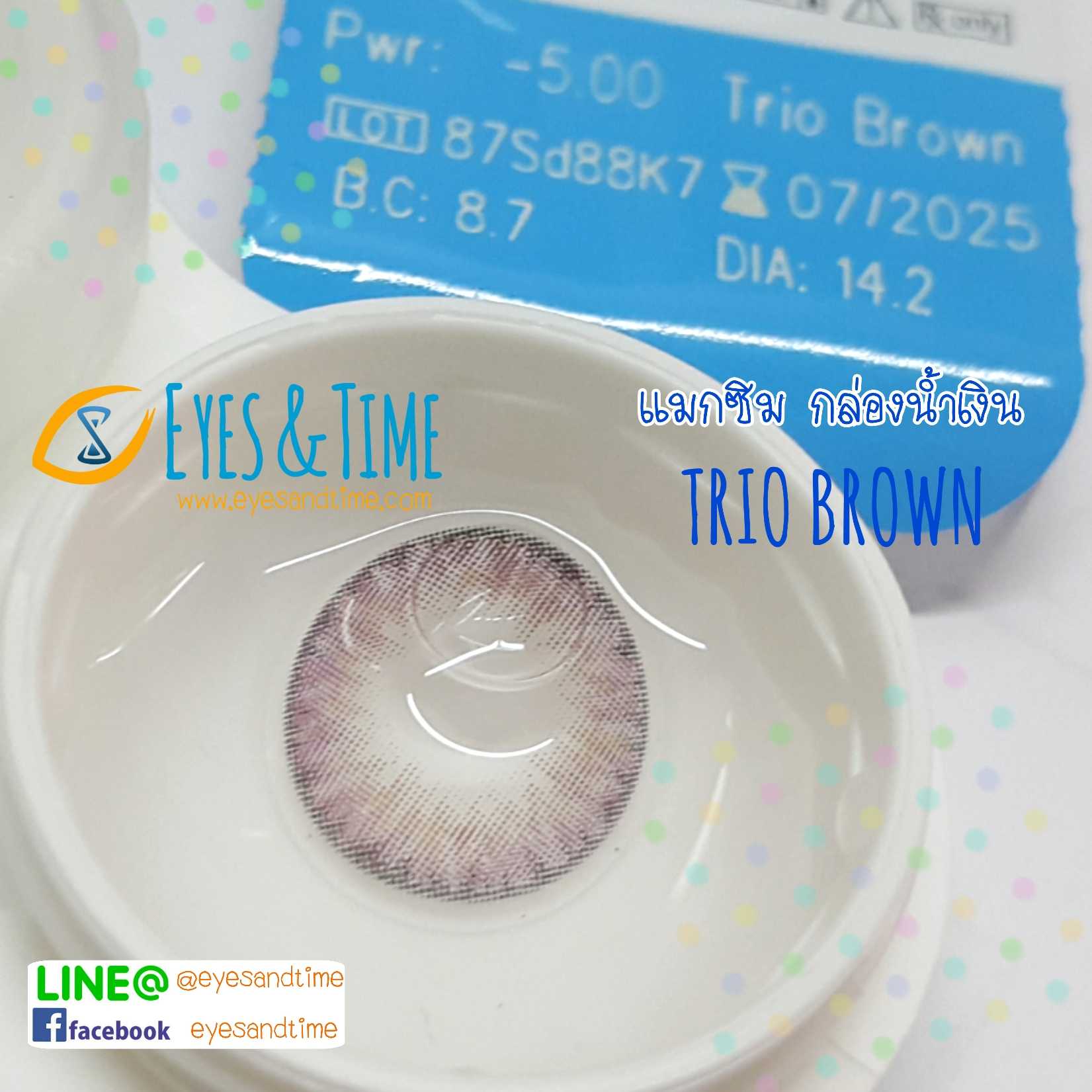 MAXIM รุ่น Trio (กล่องสีน้ำเงิน) คอนแทคเลนส์สี 3-tone รายเดือน สี ...