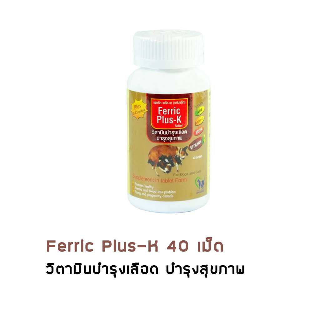 Ferric Plus-K 40 เม็ด (Tablet) ยาบำรุงเลือด บำรุงสุขภาพ | LINE SHOPPING