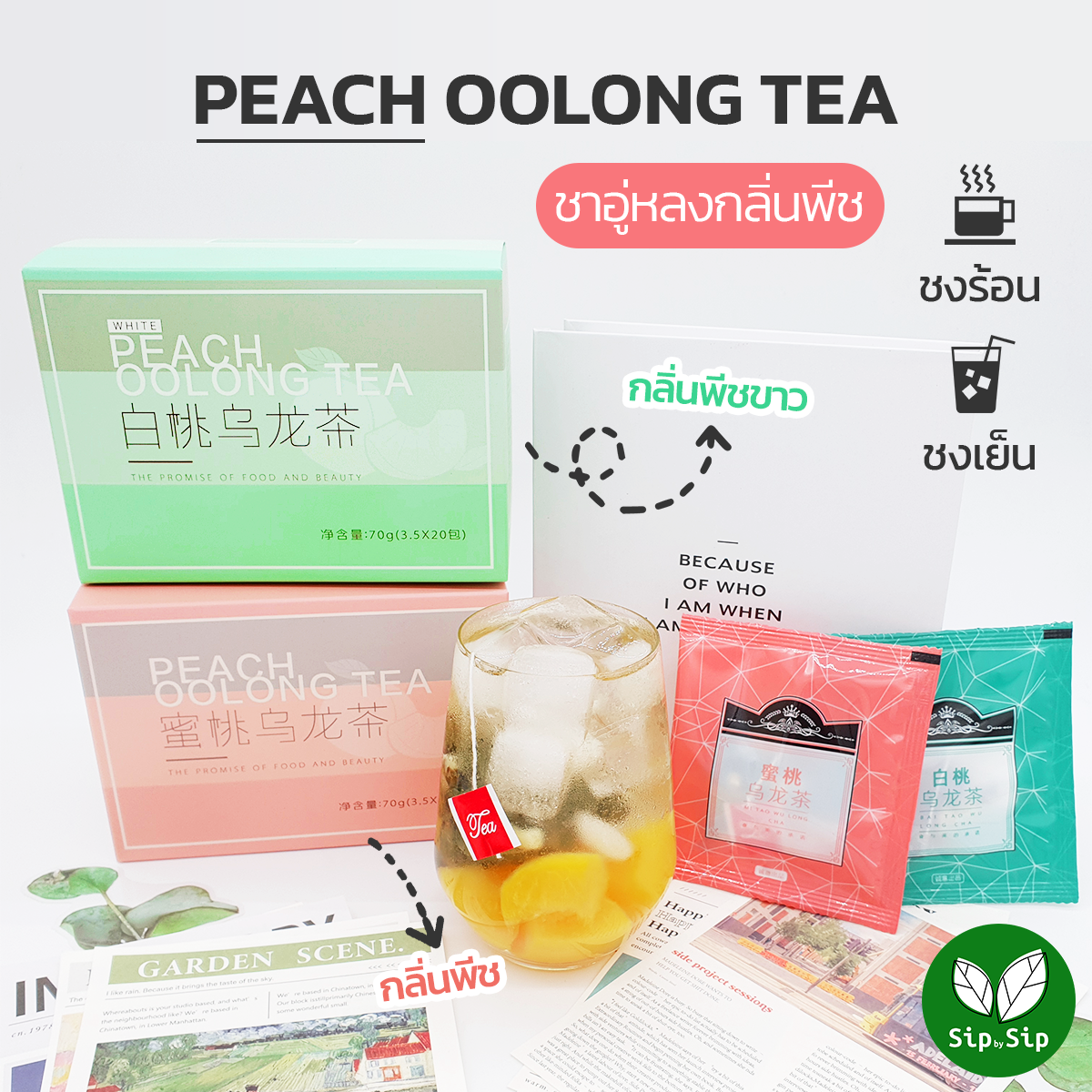 InWe Test Series 7 Days Tea: [7 Tea Bags] 7 ยอดชาจีนของดีแดนมังกร ...