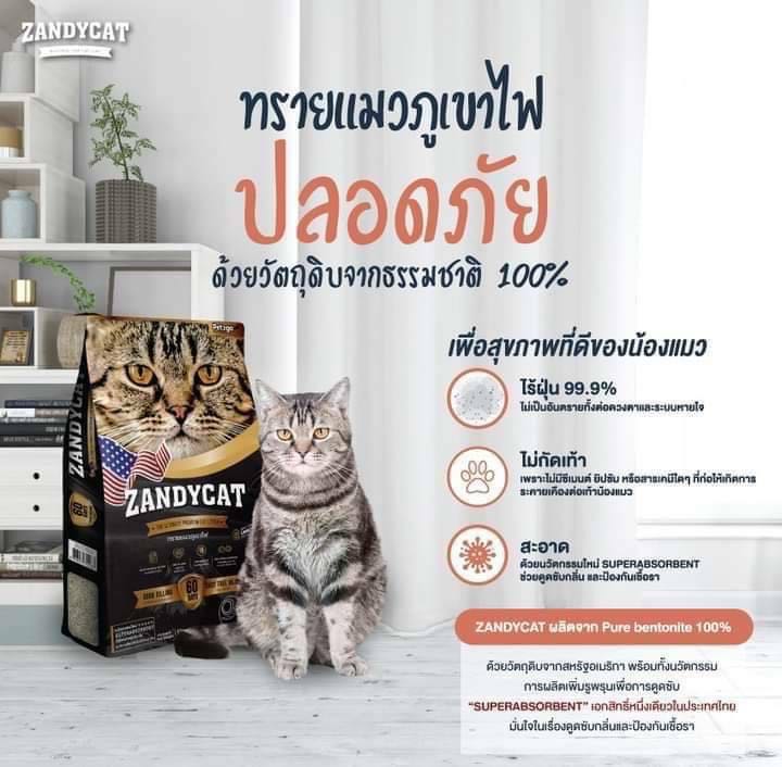 Zandy Cat แซนดี้แคท ทรายแมวภูเขาไฟ ขนาด 12 ลิตร | LINE SHOPPING