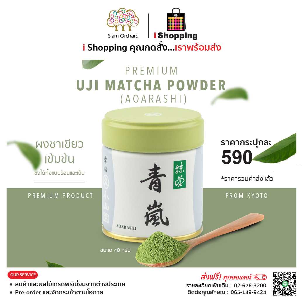 PREMIUM UJI MATCHA POWDER (Aoarashi) | LINE SHOPPING