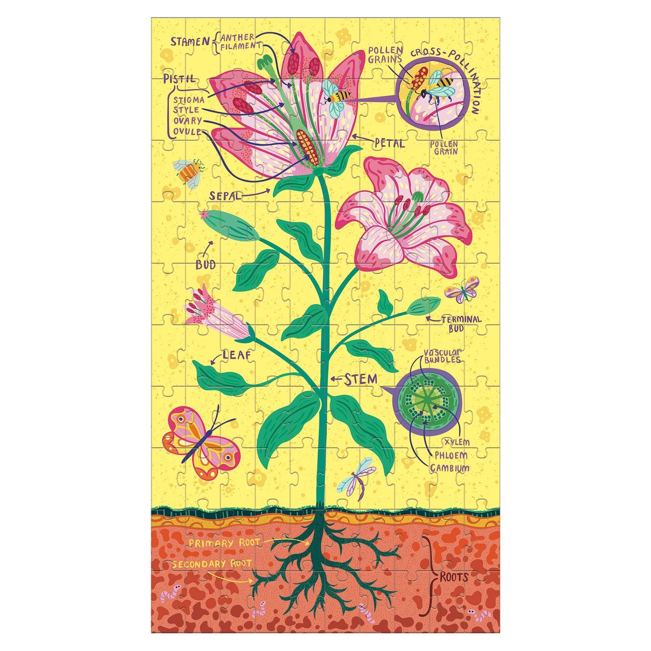 Plant Anatomy Science Puzzle Set จิ๊กซอว์ชุดความรู้วิทยาศาสตร์ : ลายกาย ...