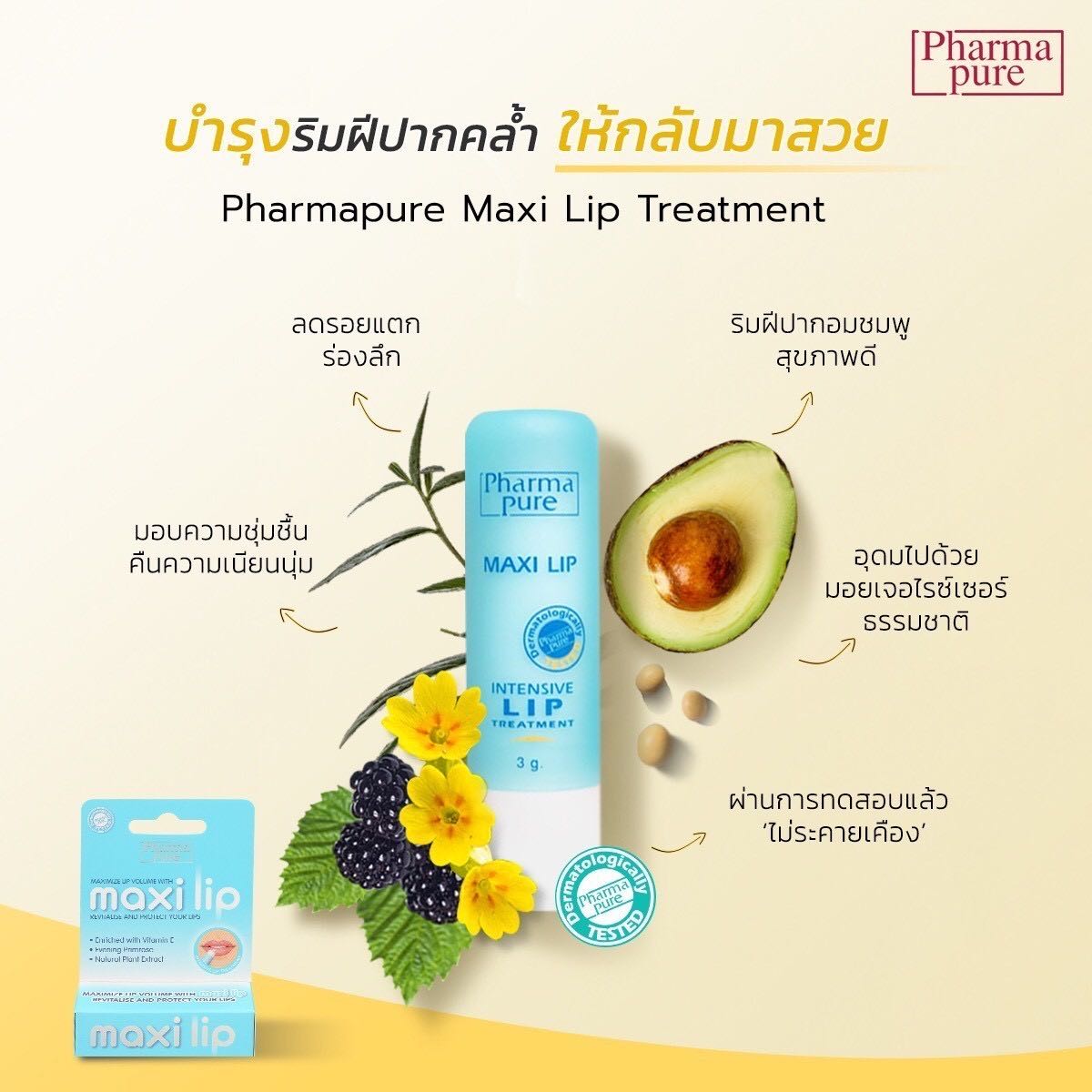 PharmaPure Maxi Lip (ลิปบำรุงริมฝีปาก) 3 g | LINE SHOPPING