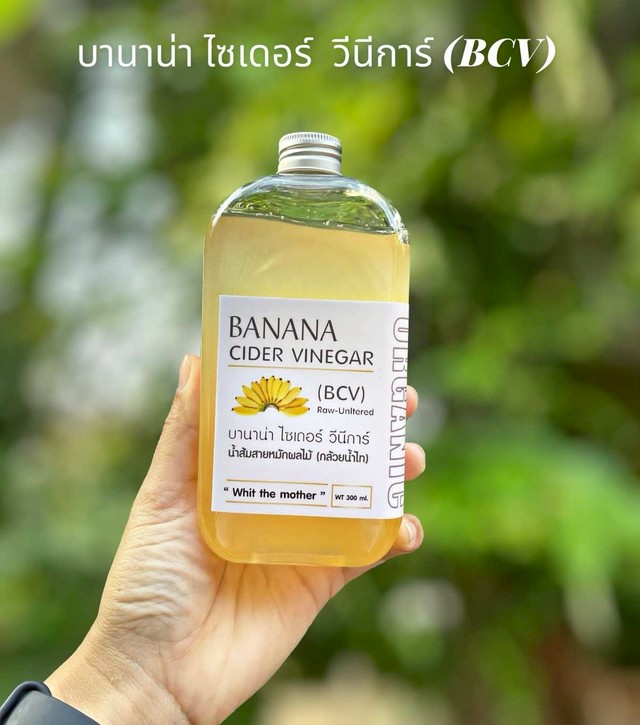 บานาน่า ไซเดอร์ วีนีการ์ (BCV) | BANANA CIDER VINEGAR | น้ำส้มสายชูหมัก ...