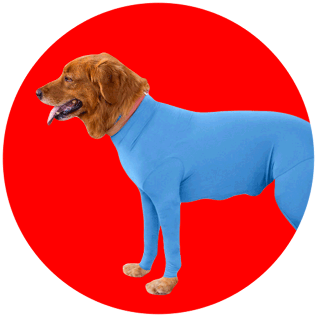 Chubbies PetSupplies| Fur Onesies & Pajamas ชุดกันขนร่วง ชุดนอน | LINE ...