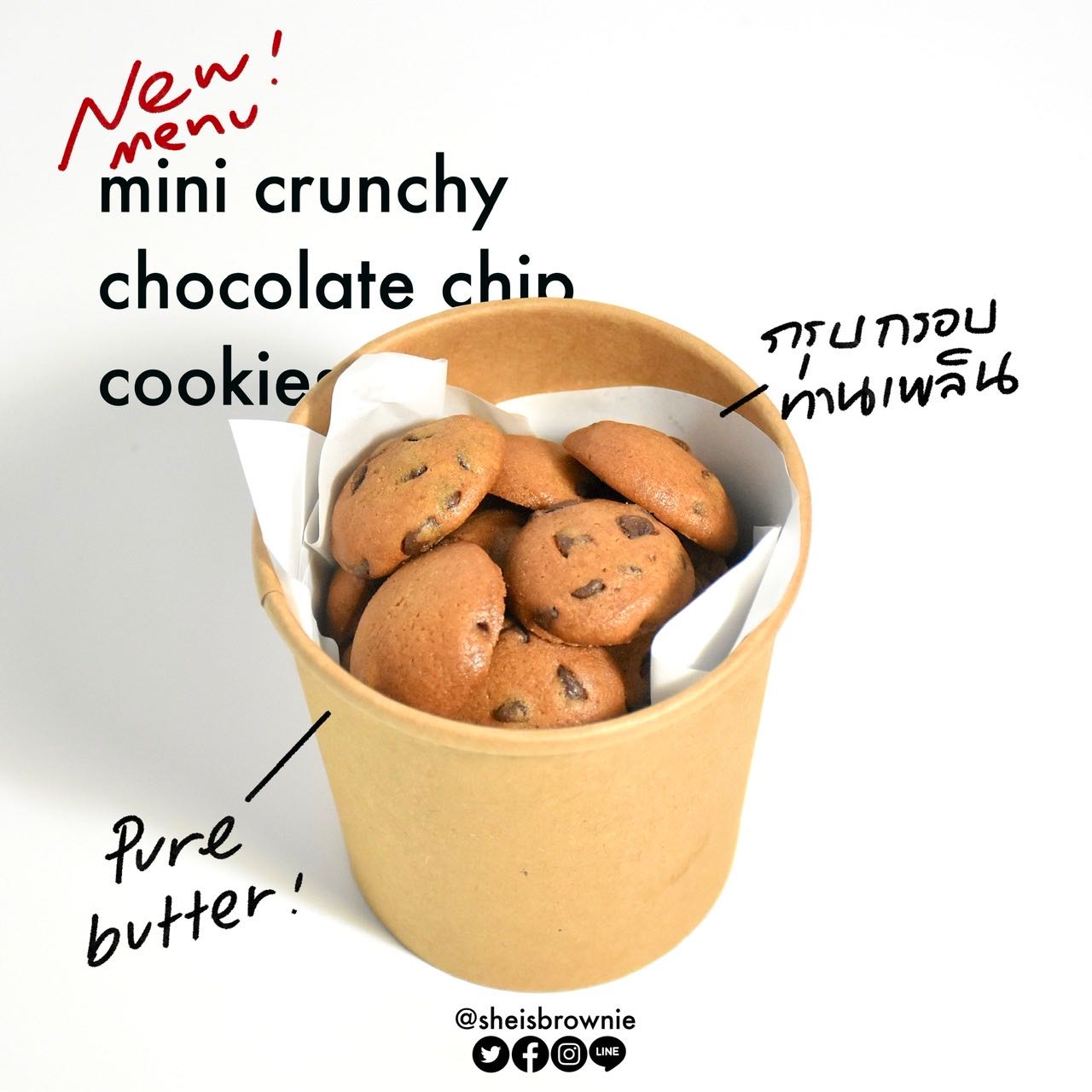กินเพลิน/คุกกี้ช็อกโกแลตชิพมินิ/mini crunchy chocolate chip cookie ...