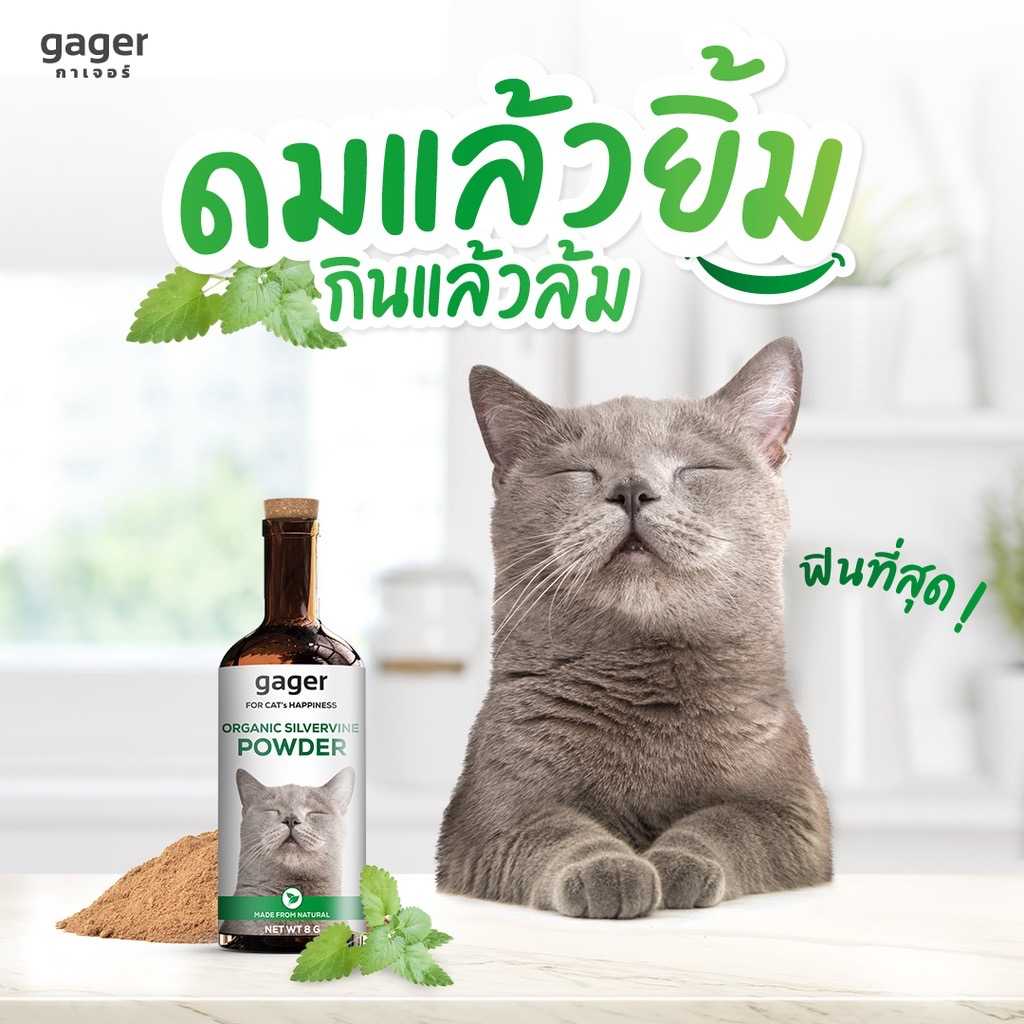 Gager กัญชาแมว พลังช้าง ไม้มาทาทาบิ ออร์แกนิค ทำให้แมวฟินที่สุด 8g ...