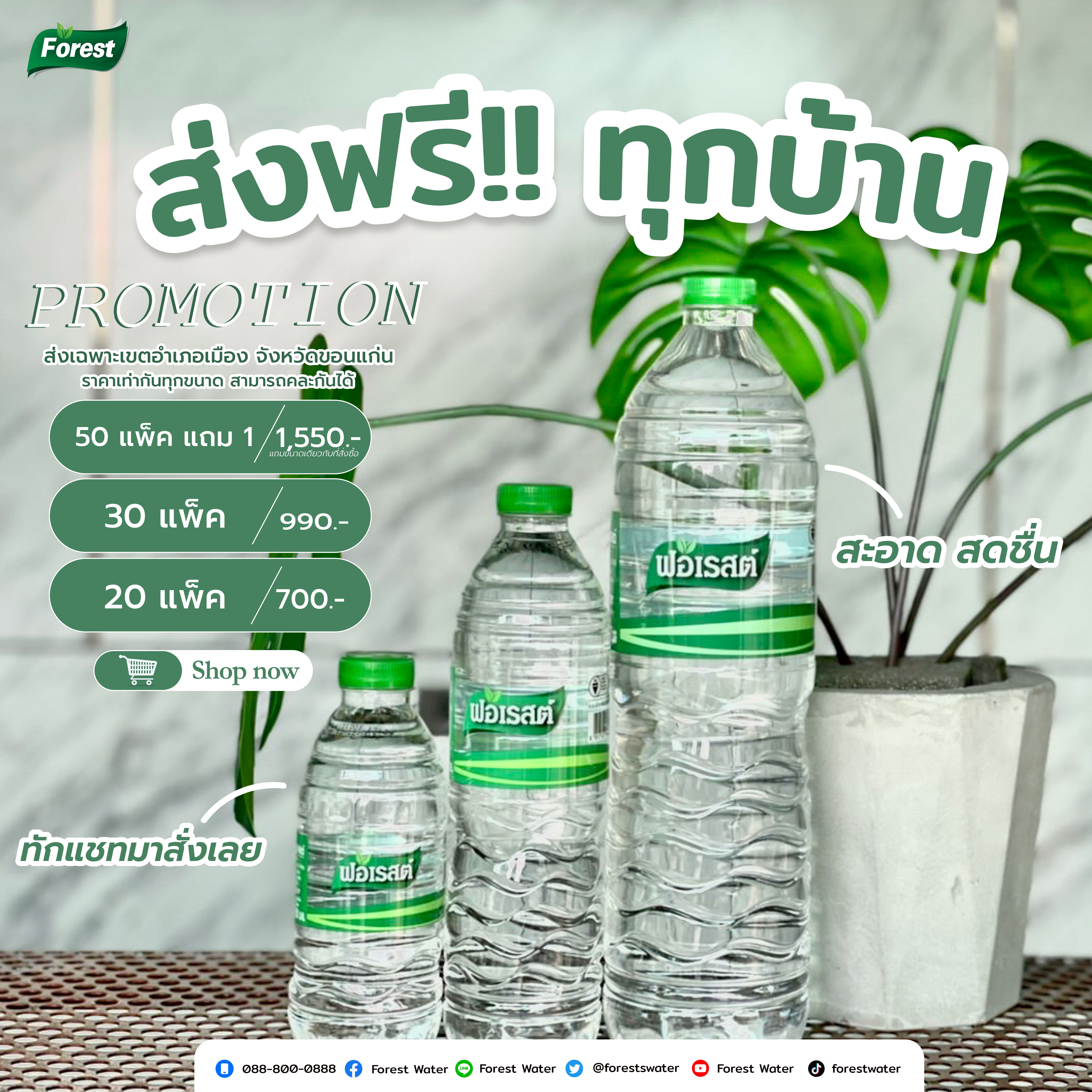 Forest Water| Shop Now! | LINE SHOPPING