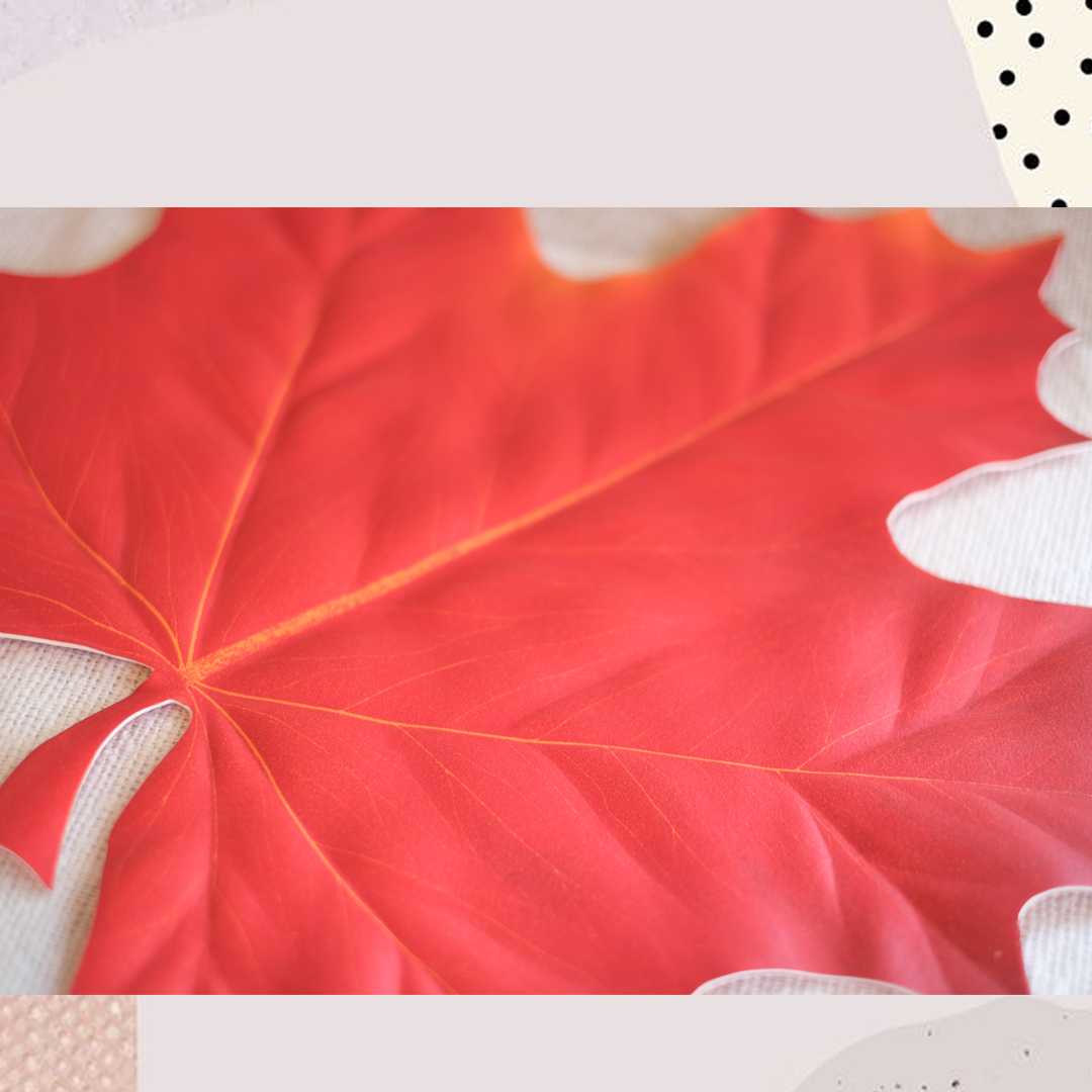 Red Maple Mat | LINE SHOPPING
