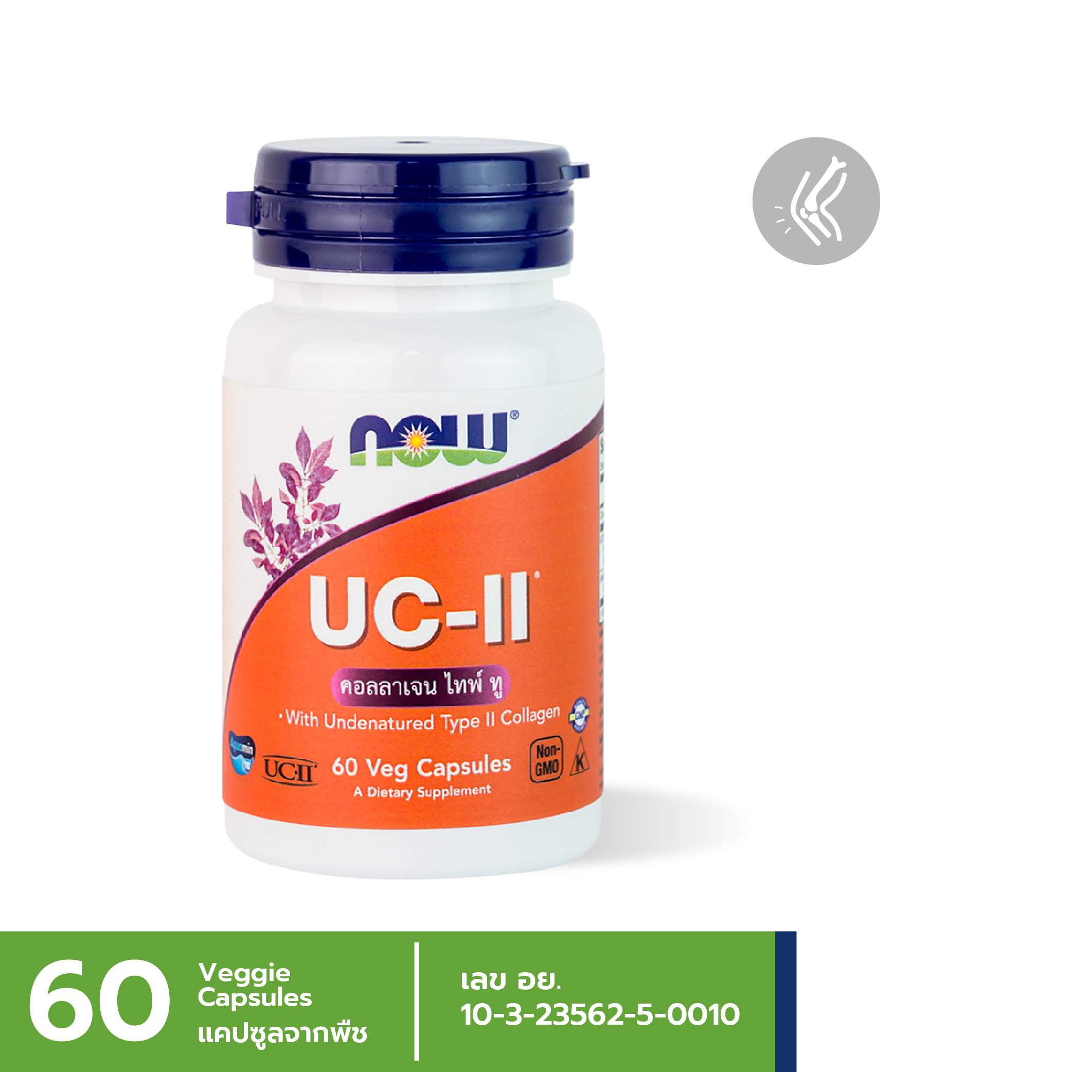 Now UC-II Type II Collagen 60Cap | LINE SHOPPING