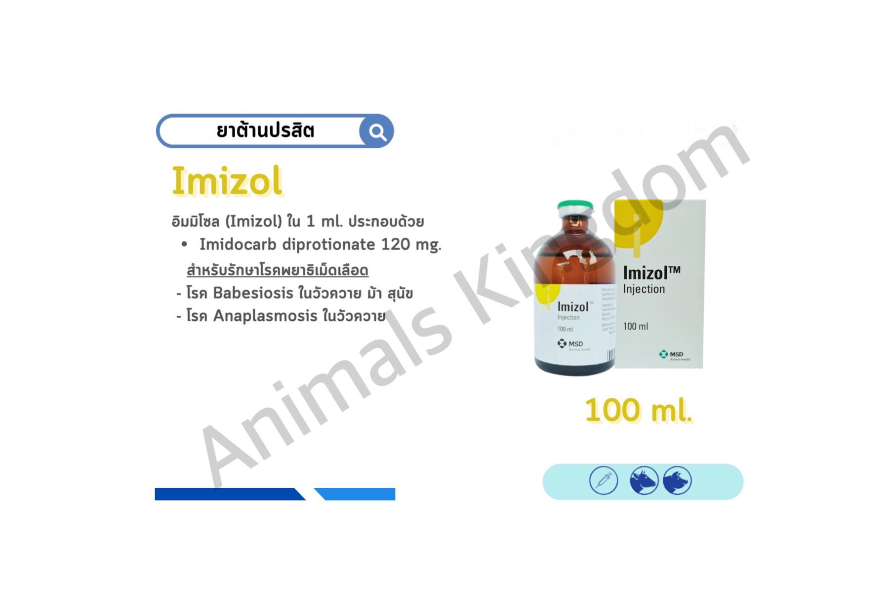 Imizol Injection 100 ml/อิมมิโซล ชนิดฉีด 100 มล.(ยารักษาพยาธิเม็ดเลือด) | LINE SHOPPING