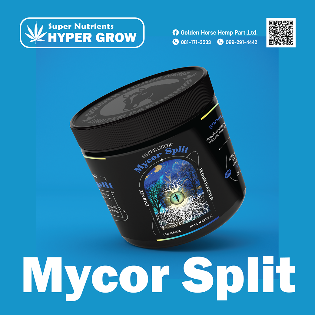 Mycor Split | LINE SHOPPING