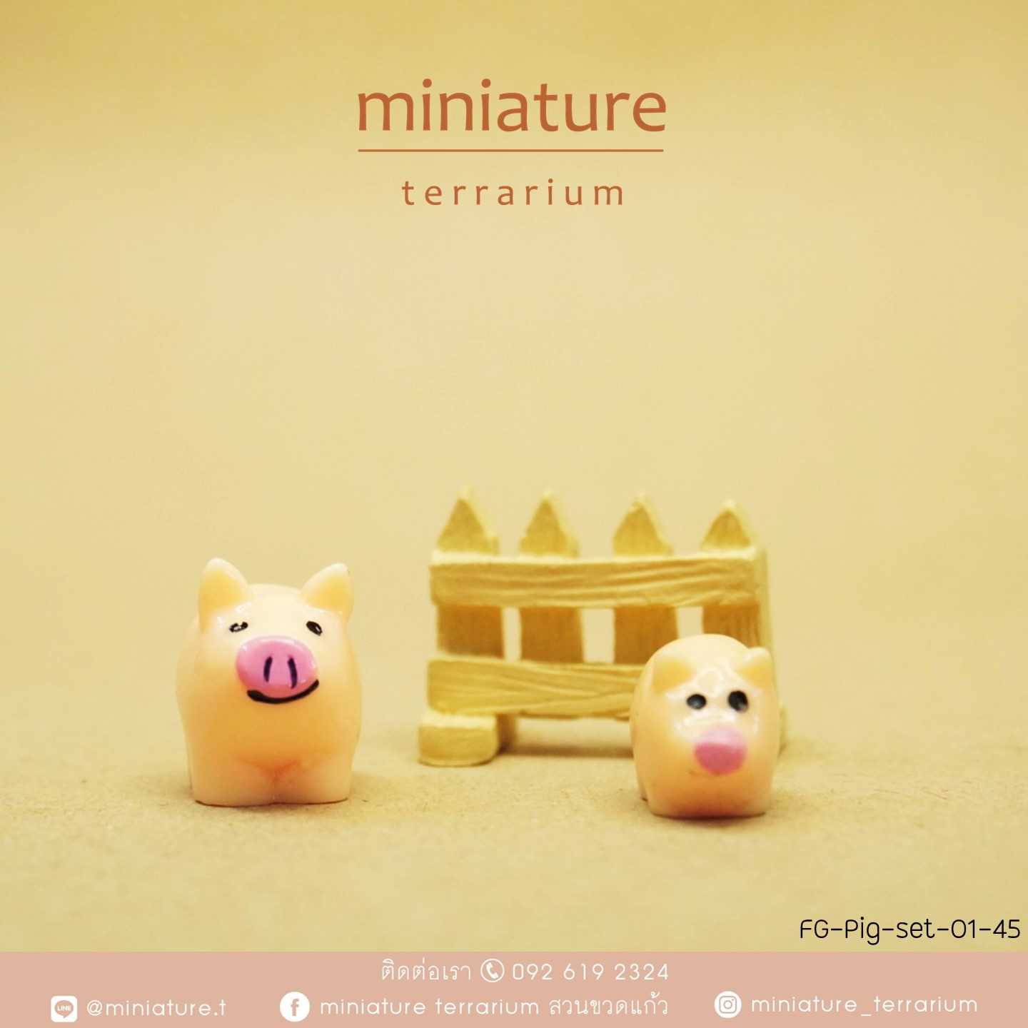 Pig Set | LINE SHOPPING