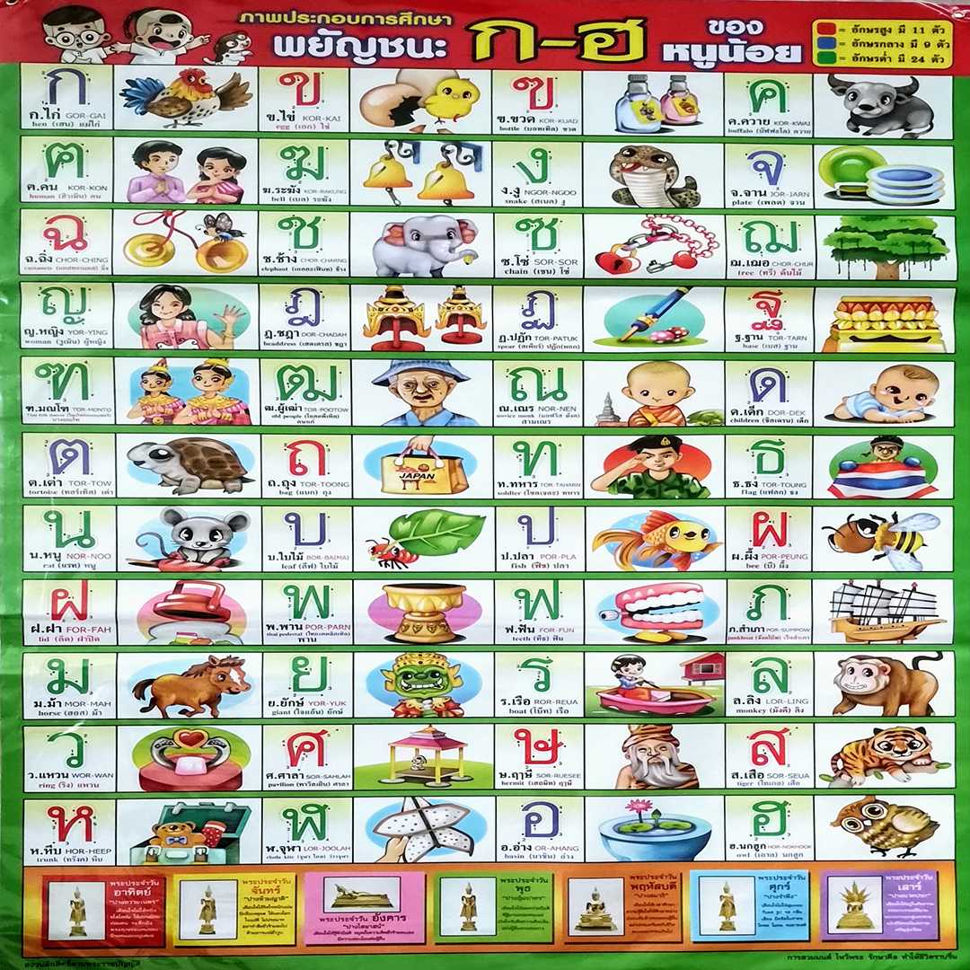 โปสเตอร์ พยัญชนะ ก-ฮ ของหนูน้อย Consonant Korkai-Hornokhook of kids ...